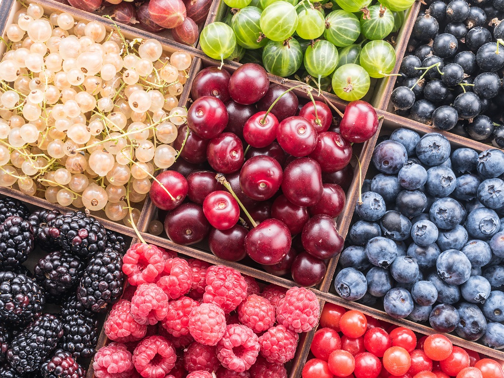 Jakie dania do letniego menu? - Blog Bidfood Farutex